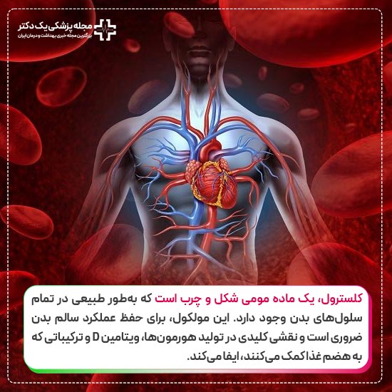 کلسترول تحت کنترل راهکارهای ساده برای سلامت قلب و عروق مجله پزشکی یک